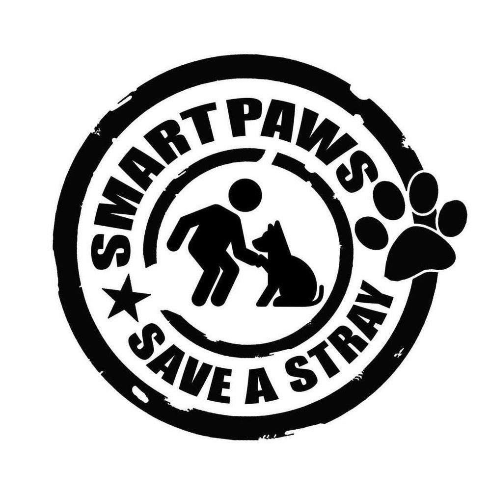 Smart Paws Greece - Save A Stray - Φιλοζωικές - Dogs' Voice
