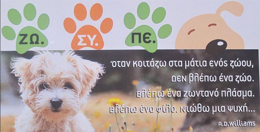 ΖΩΟΦΙΛΙΚΟΣ ΣΥΛΛΟΓΟΣ ΠΕΡΑΜΑΤΟΣ (ΖΩ.ΣΥ.ΠΕ) - Φιλοζωικές - Dogs' Voice