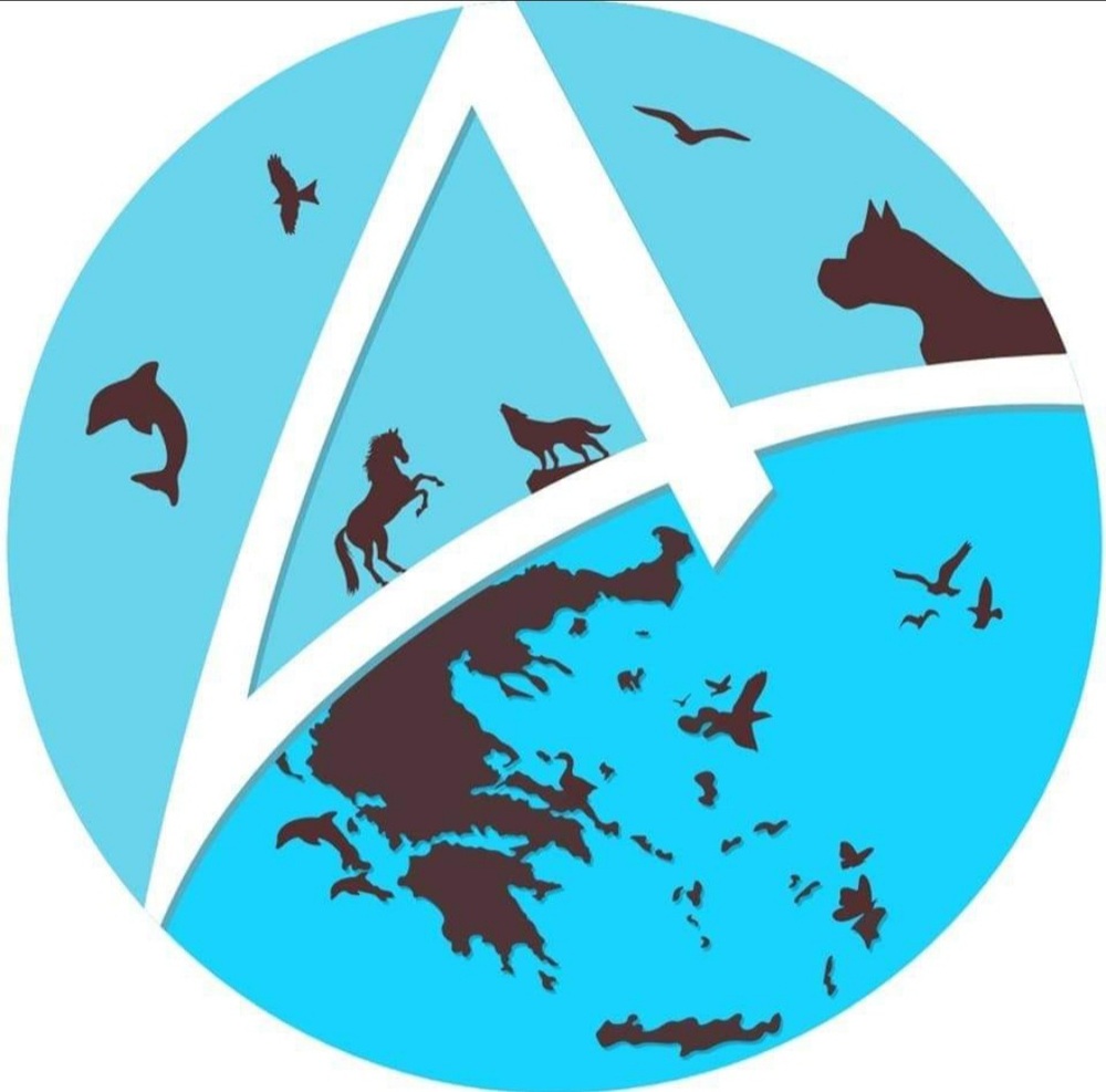 ΠΑΝΕΛΛΗΝΙΟ ΦΙΛΟΖΩΙΚΟ-ΦΙΛΑΝΘΡΩΠΙΚΟ ΣΩΜΑΤΕΙΟ ΑΠΟΛΛΩΝ - Φιλοζωικές - Dogs ...